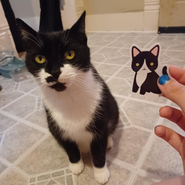 White Arctic Fox Acrylic Glitter Keychain | Kawaii Chibi Wild Animal ...