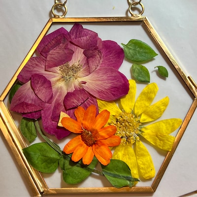 Set of 2 Double Glass Frame for Pressed Flowers, Photos and Artwork ...