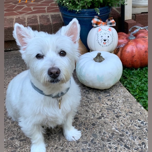 Hand Painted Rock West Highland Terrier Westie Dog Mom Gift, Stone Art ...