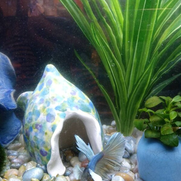 Ceramic Pointed Fish Cave MADE TO ORDER - Aquarium Decoration - Under ...