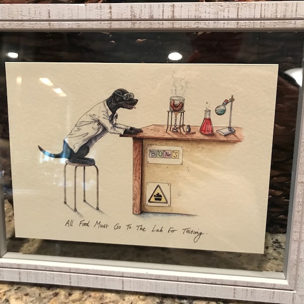 All Food Must Go to the Lab for Testing Card - Black Lab Card - Black ...