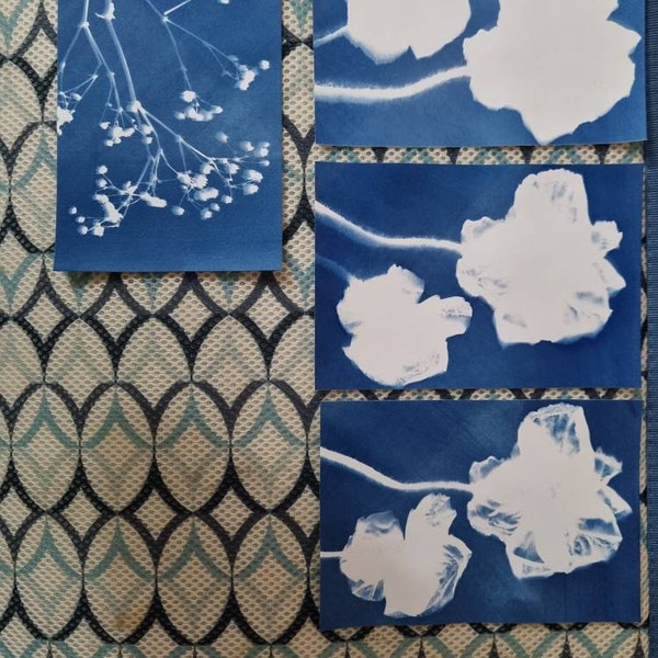 Cyanotype Template , Choose Your Stencil Kit , Solar Printing Stencil ...