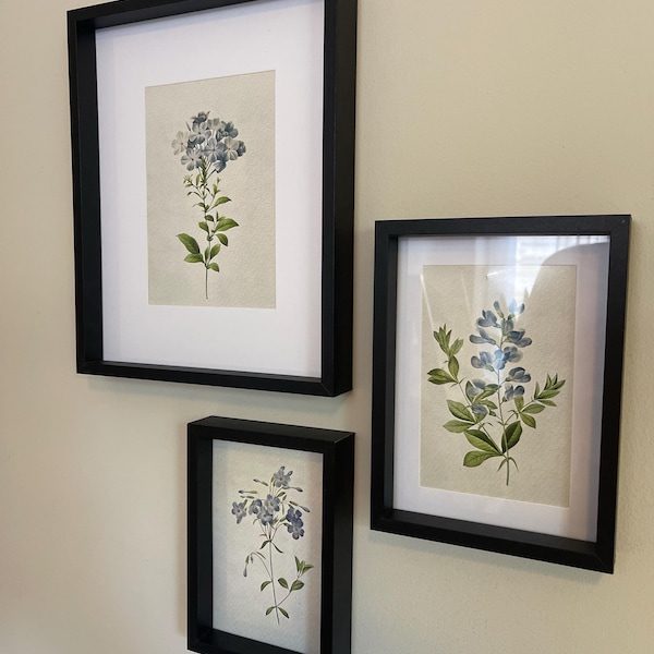 Vintage Botany Gallery Wall Art | Set of 2 | Elderberry Flowering ...