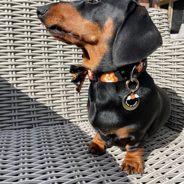 O-rings, Lobster Clasps, Carabiner, Pet ID Tag Clasp, Dog ID Tag Clasp ...