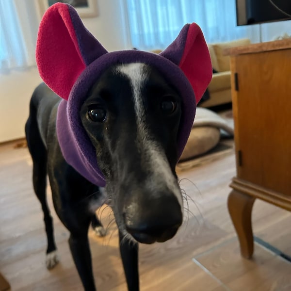 Great Dane Extra Warm Winter Dog Coat Dog Jacket With Underbelly ...