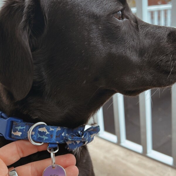 Personalized Dog Tag - Paw Print Dog Tag Design Engraved Tag - Cat ID ...