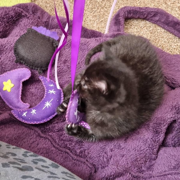 Magical Moon Cat Wand Catnip Toy, Gift for Cat Lovers, Gift for Kittens ...