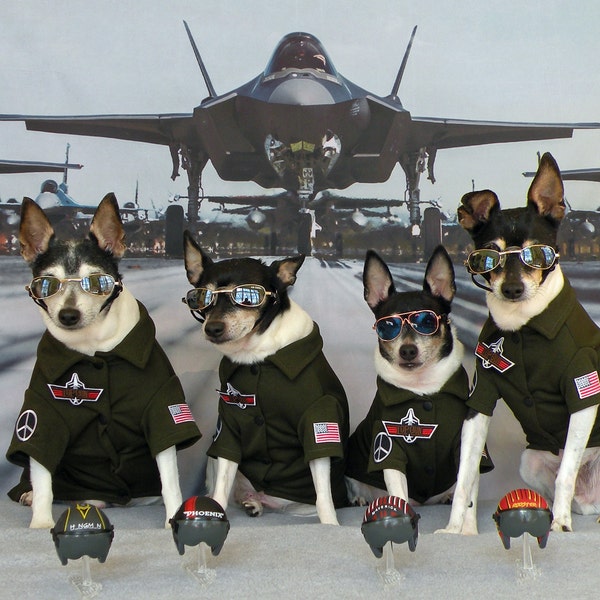 Top Gun Look Outfit Set - Pet Fighter Pilot Outfit, Navy Patriotic ...
