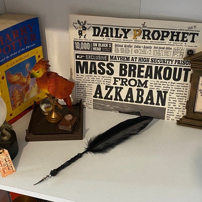 Dolores Umbridge's Proclamation Decree Inspired by Harry Potter - Etsy