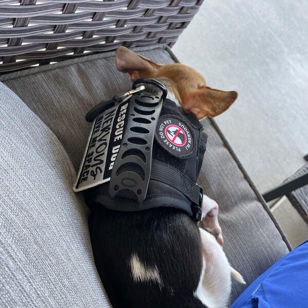 Nervous Dog Patch Ask to Pet Patch Dog Vest Patches Hook Fastener ...