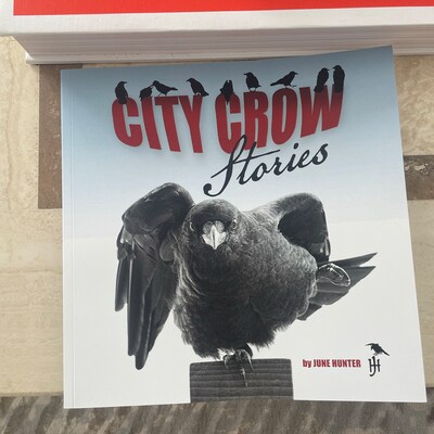 Raven Peace A Single Raven in the Top of a Tree Signed Fine - Etsy