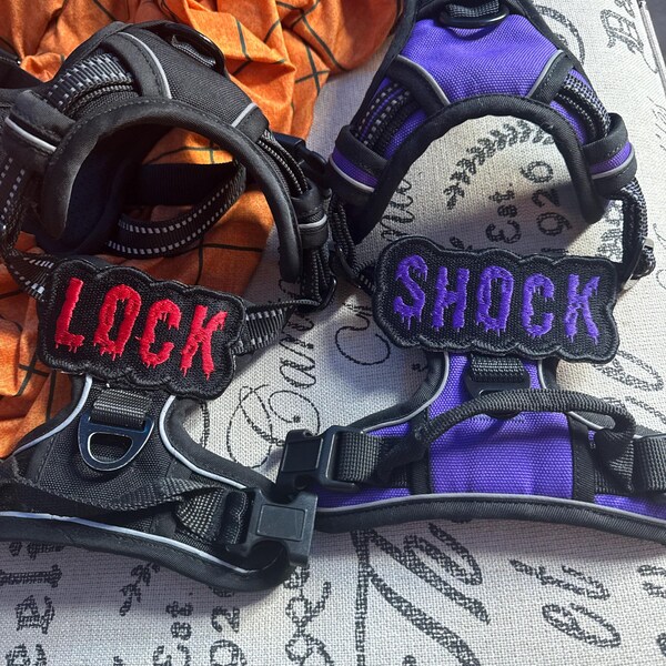 US Travel Map | Fill in Map | Color in Map | US Color Map - Etsy