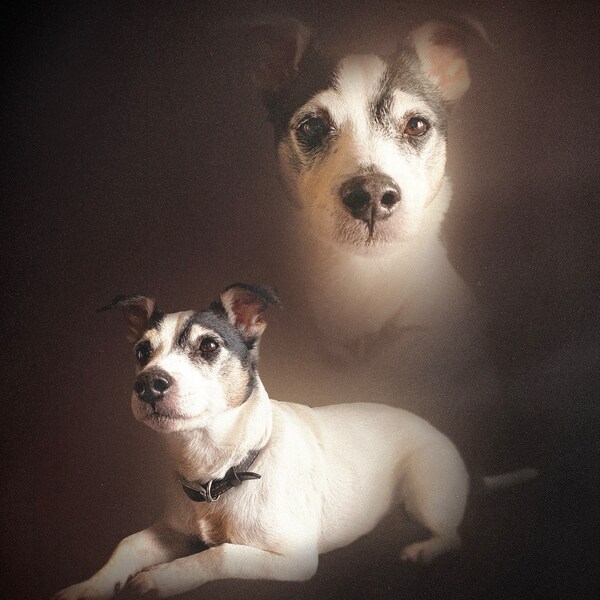 Custom 80's Retro Pet Portrait - Single Pet Oval Frame - Handcrafted ...