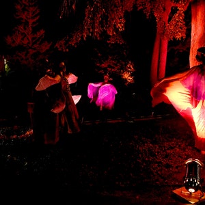 Flower Cape Floral Cloak Pansy Scarf Shawl Purple and Yellow Poncho ...