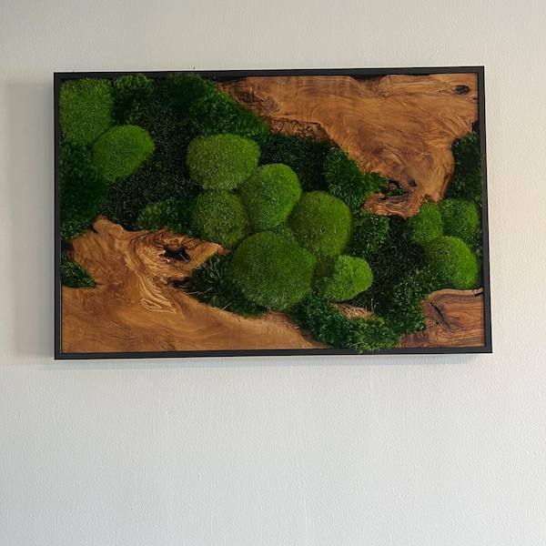 Moss Picture Ball Moss Solid Wood Frame Oiled Oak Moss Landscape - Etsy