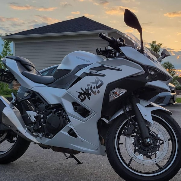 Demon Decal Right Face - Etsy