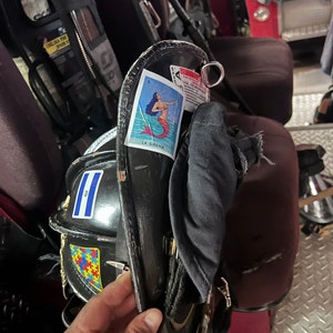 AFA Sticker Champion of the World, Seleccion Argentina Sticker, World ...