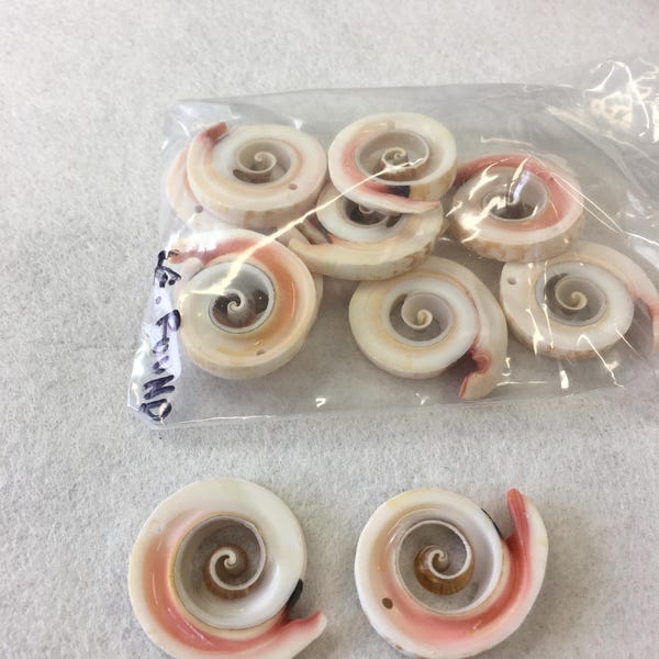 Hawaiian Puka Shells Vintage Natural Authentic - Etsy