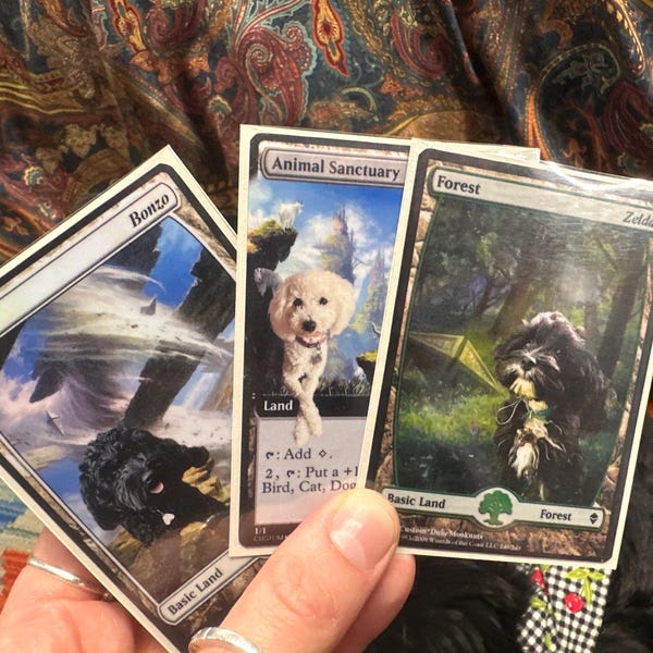 Personalized Pet Magic the Gathering Foil Land - Etsy