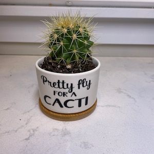 4 Inch Breast Cancer Awareness Terracotta Face Planter Pots - Etsy