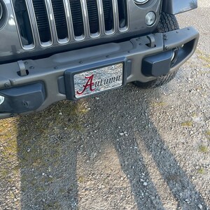 Custom Mirror License Plate, Car Tag, Personalized Car Tag, Custom ...