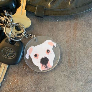 Pi Beta Phi Sticker Pack Pi Phi Sticker Pack Pi Beta Phi | Etsy