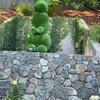 Outdoor Tyrannosaurus Rex T-rex Topiary Green Figures Covered in ...