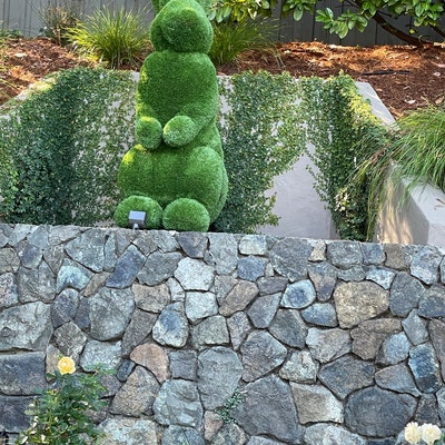 Outdoor Tyrannosaurus Rex T-rex Topiary Green Figures Covered in ...