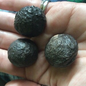 Pick Your Favorite Wolf Paw Totem Stone Spirit Animal | Etsy