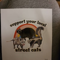 Bestie, Please Let Me Merge Bumper Sticker Cute Bumper Stickers Girly ...