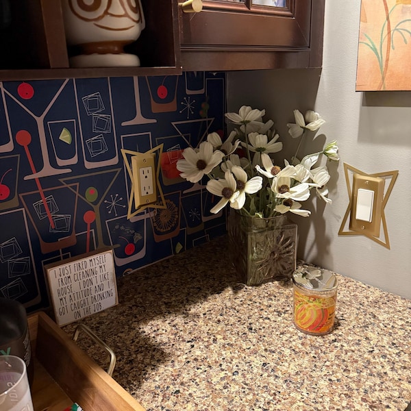 TELSTAR Painted Mid Century Atomic Shadow Box Light Switch and Outlet ...