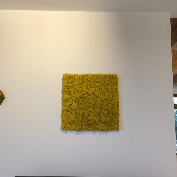 MOSS PANEL, PRESERVED Moss Wall, Reindeer Moss,handmade Moss Panel ...
