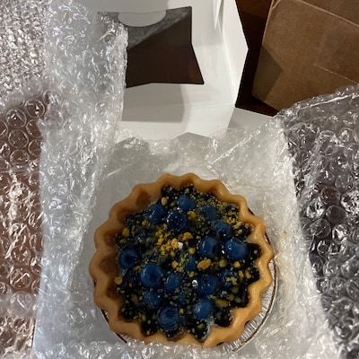 HTML Coding Basics for Kids - Etsy