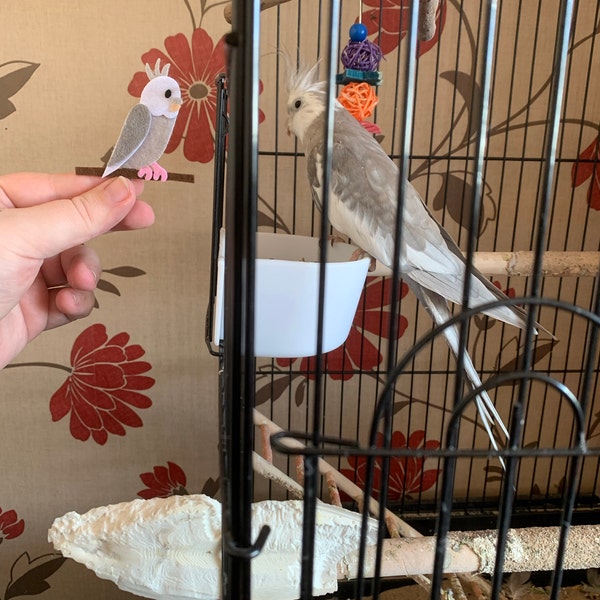 Felt Cockatiel Die Cuts - Cockatiel Embellishments for Crafting -felt ...