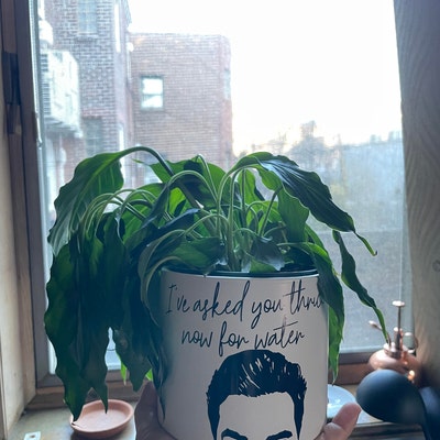 Ew, David Photo David Rose Svg, Schitt's SVG, Cut File for Cricut ...