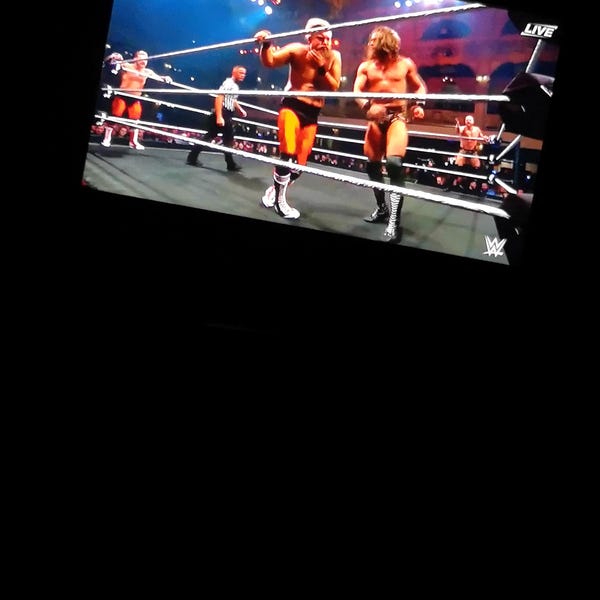 TJPW All Rise 2024 Pro Wrestling Dvd - Etsy