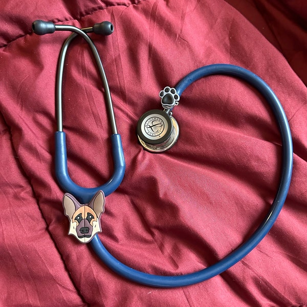 Add Some Fun to Your Stethoscope, CUTE Bee Gnome Stethoscope Tag CUTE ...