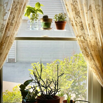 Window Shelves Clear Various Sizes Clear Window Shelf Custom Window ...