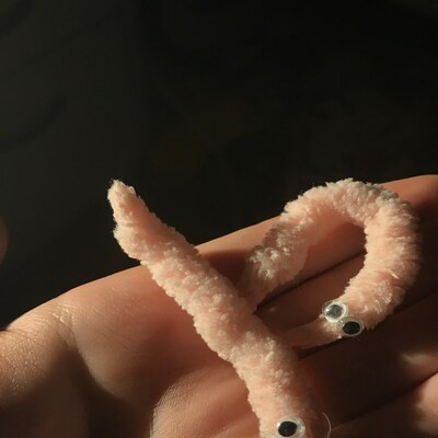 Worm on a String Earrings for Pierced Ears - Etsy