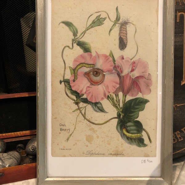 Odd Botanical Series Artwork by Dan Barry, blandfordia Grandiflora ...