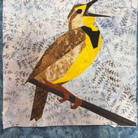 Blue Jay Fpp--backyard Birds Series--paper Piecing Quilt Block Pattern ...