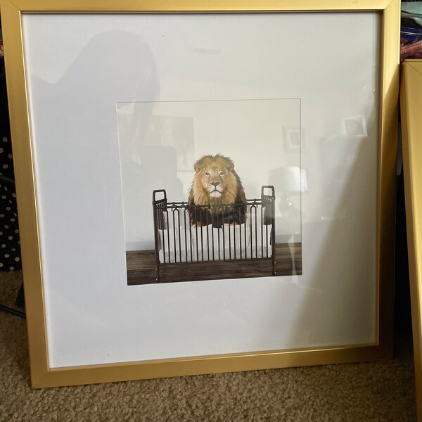 Tropical Leaf, Monstera Leaves, Tropical Leaves, Tropical Wall Decor ...