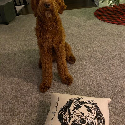 Goldendoodle Pillow, Personalized Throw Pillow, Doodle Dog ...