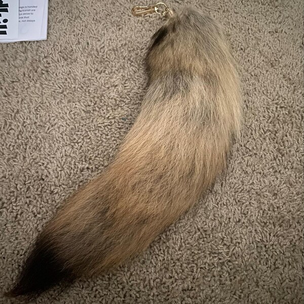 Real Coyote Tail Keychain, Antenna Topper, Mirror Hanger, Therian Tail ...