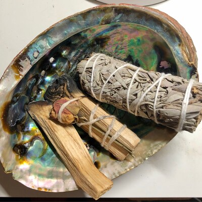 XL Natural Abalone Shell, Premium Blue Abalone, Blue Green Large ...