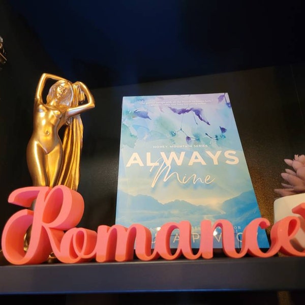 Romance Bookshelf Sign Library Book Lover Gift Custom Colors Book Club ...