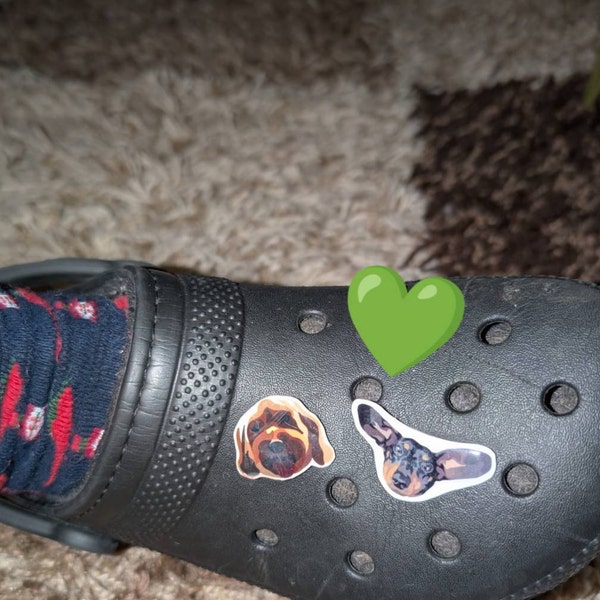 Powerpuff Girls Fairy Crocs Jibbitz Chams Shoe Accessories - Etsy UK