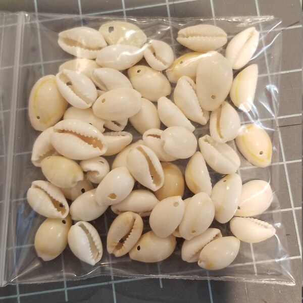 50 Small Cowrie Shell, Natural Sea Shell - Money Shell Bead, Cut Back ...