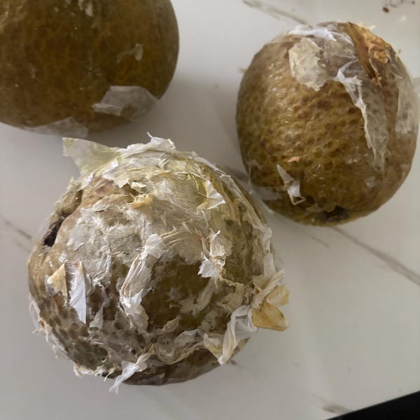 5 Felt Food Corn, Play Kitchen, Felt Food Toy, Pretend Food for Play ...