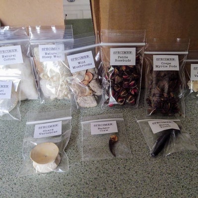 Real Moose Pellet in Glass Vial Moose Poop Animal Dung - Etsy